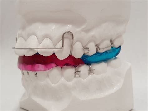 Twinblock Cultus Dentes