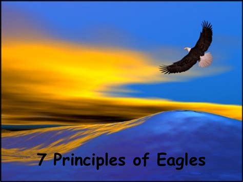 7 Principles Of Eagle 1