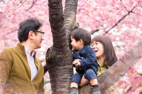 桜フォトキャンペーン31 柿の木坂写真工房