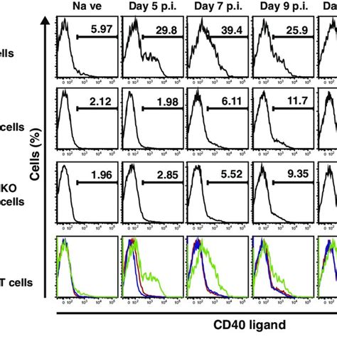 Cd40l Expression On Cd T Cells And Cd4 T Cells In P Berghei Download Scientific Diagram