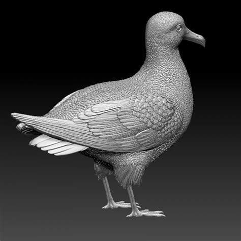 3d Printable Seagull By Dmitrii Tishchenkov
