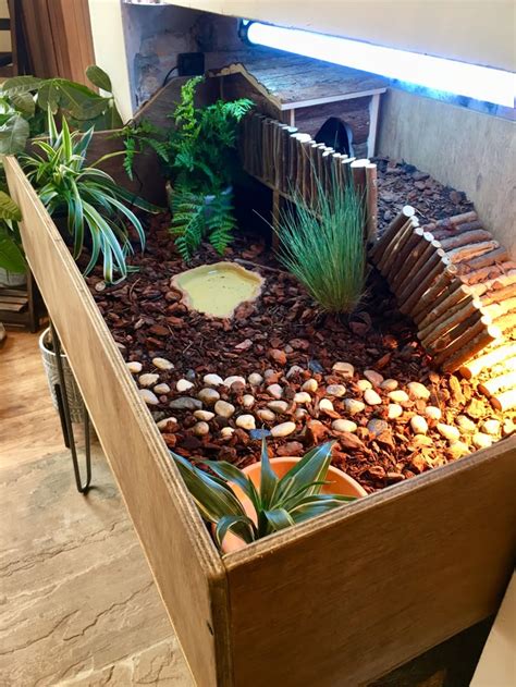 Tortoise Enclosure Ideas Outdoor Tortoise Enclosure And House 12