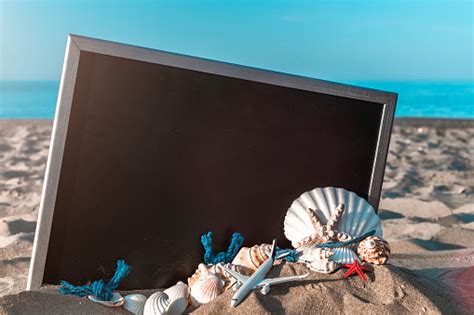 열대 배경 화창한 날에는 바다 해변의 검은 책상 근처에서 글로브 조개 비행기 및 불가사리 텍스트공간을 복사합니다 검은색에 대한 스톡 사진 및 기타 이미지 Istock