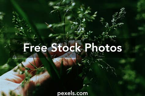 Touching Persons Buttocks Photos Download The Best Free Touching