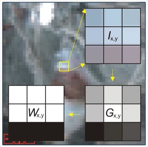 Spatial Smoothing Procedure Showing Example Of A Kernel Of The