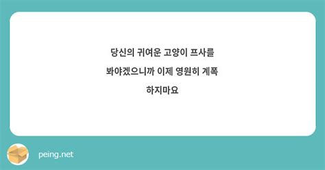 당신의 귀여운 고양이 프사를 봐야겠으니까 이제 영원히 계폭 하지마요 Peing 質問箱