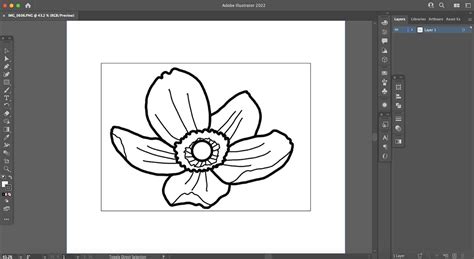 How To Vectorize And Colorize Your Procreate Drawings With Adobe Illustrator