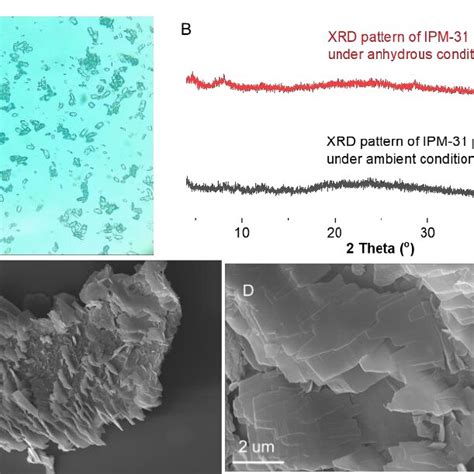 The Layered Structure Of The Ipm 31 Single Crystal A The 1d Chain