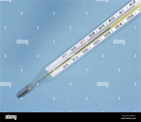 Fever Mercury Thermometer Showing A Raised Temperature Of 39 5 Degrees