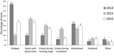 Percentage Of Fledging Success And Breeding Outcomes Of Nests Of Little