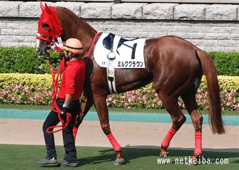 ミルククラウン Milk Crown 競走馬データ Netkeiba