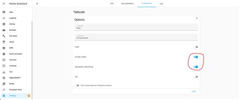 Tailscale And Remote Ha Integration Configuration Home Assistant