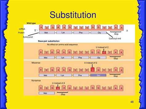 Protein Synthesis Ppt Download