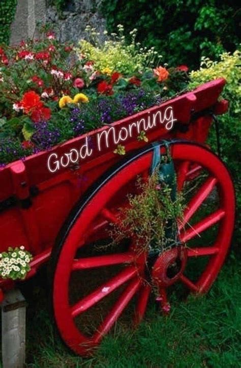 Good Morning Day Afternoon Evening Night And Happy Whatevers 5