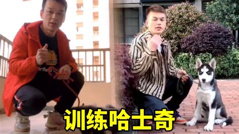 训练哈士奇，定点上厕所【宠而优狗狗上学训练营】 Youtube