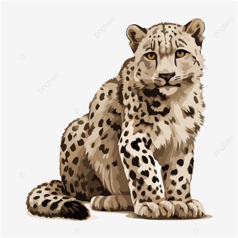 Snow Leopard Vector Sticker Clipart Snow Leopard Of Kitten