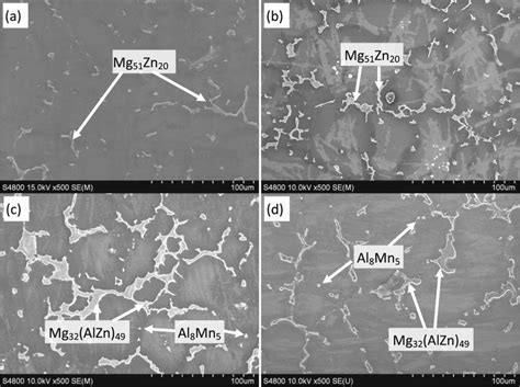 Low Magnification Sem Micrographs Of The As Cast Alloys A Zm60 B