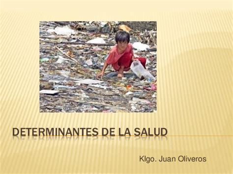 Ppt Determinantes De La Salud