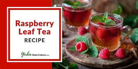 Homemade Raspberry Leaf Tea Hot Or Iced A Leafy Elixir You Must Try