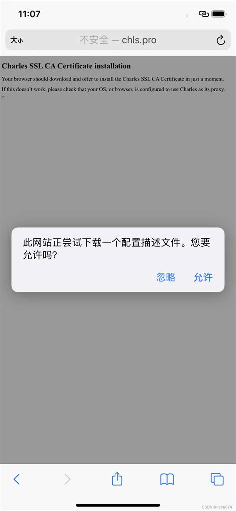 【charles】成功解决使用ios手机抓包时，ios手机连接网络失败andcharles配置方法 Csdn博客