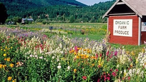 Calling For Reform Of Pesticide Regulation To Address Health