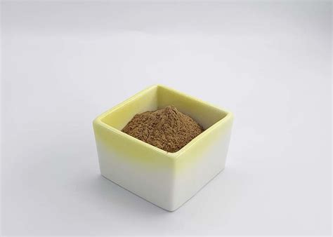 Ep Standard Water Soluble Ginkgo Biloba Extract Total Flavones 24
