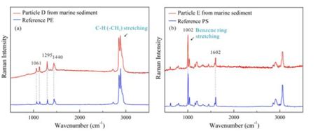 Raman Spectrometer In Microplastic Type Analysis
