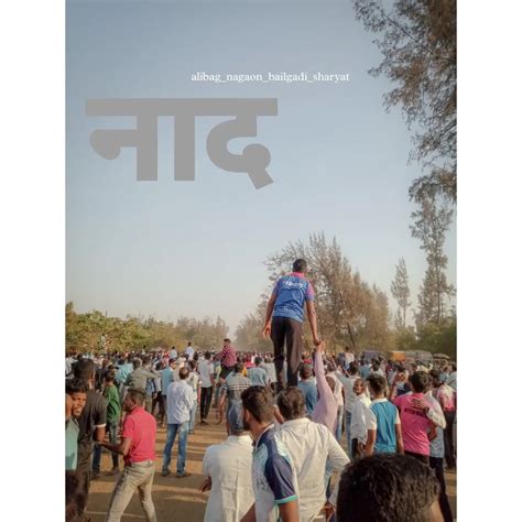 ️🔥 अलिबागबैलगाडीशर्यतप्रेमी४१३२🔥 ️ Bailgadisharyatpremi4132