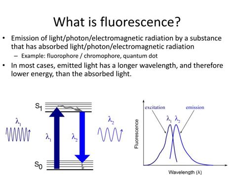 Difference Between Fluorescence And Fluorescent At Hazel Anderson Blog