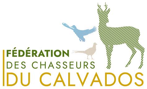 Validation Des Permis De Chasser Ouverture Le Juin