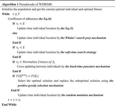 An Improved RIME Optimization Algorithm For Lung Cancer Image
