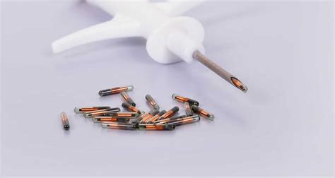Are Rfid Chip Implants The Future What You Should Know About This