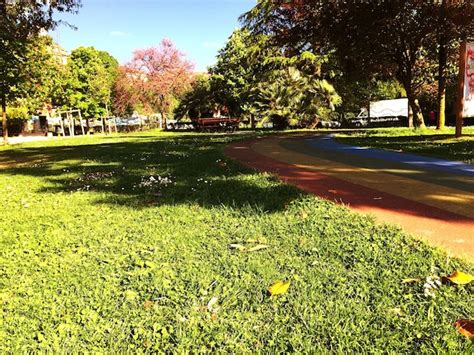 Premium Photo Multi Colored Path In Park