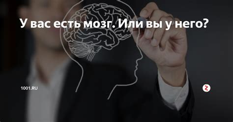У вас есть мозг Или вы у него Дзен