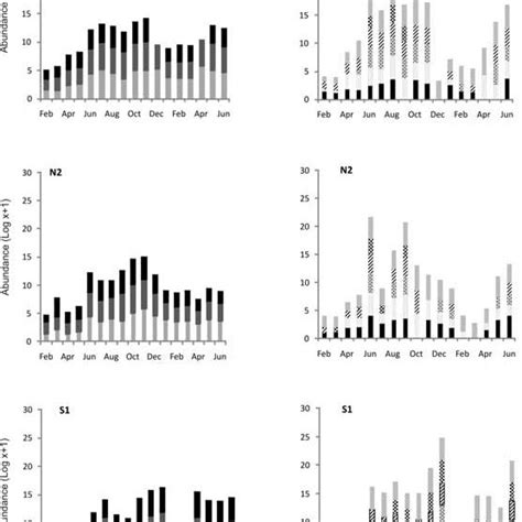 Monthly Pattern Of The Abundance Indm 3 Of Main Zooplankton