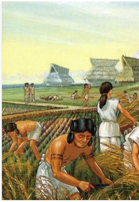 Neolithic Age Agriculture