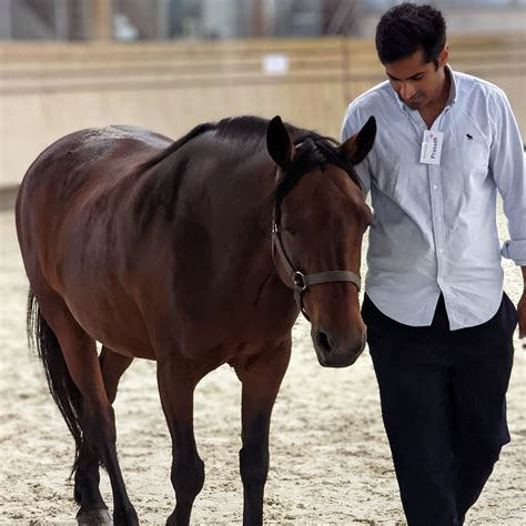 Maîtriser La Communication Assertive Pour Un Leadership Efficace