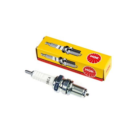 Bougie Ngk D8ea