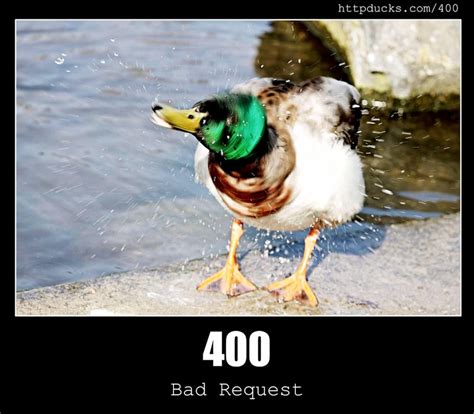 400 Bad Request Status Code And Ducks