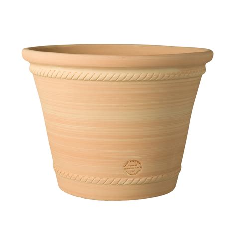 Pot en terre cuite 25 cm le choix idéal pour vos plantes