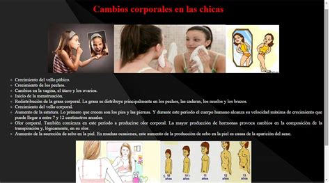 Exposición Pubertad Taller De Desarrollo Humano