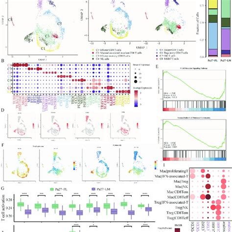the scrna seq profiling of t nk cells in paired pl and lm a uniform