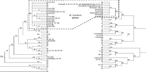 Figure 2 From Genetic Diversity Analysis Of Ganoderma Species And Development Of A Specific