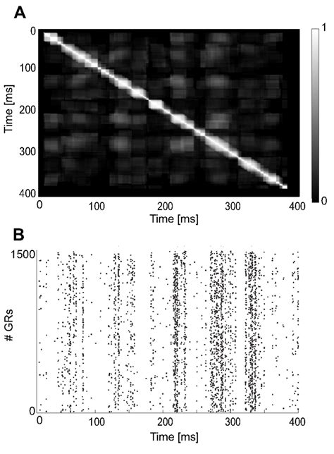 Granular Layer Spatio Temporal Activity A Similarity Indexes