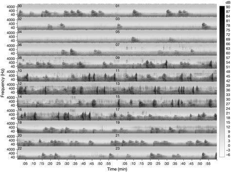 a 24 h spectrogram of calibrated received sound levels db re 20 µpa