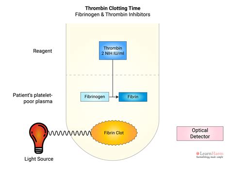 Manual Prothrombin Time Test Procedure At James Aviles Blog