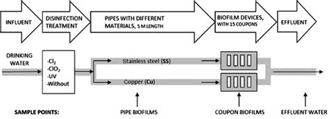 Schematic Diagram Of The Modular Model Distribution System Coupon Download Scientific Diagram