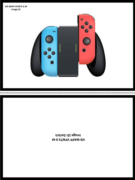 20 Exemplars Vb Mapp® Vpmts 5 M Matches Any 10 Identical Items