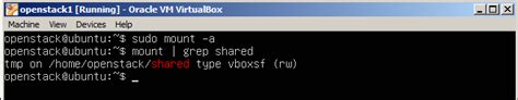 linux virtualbox mounting shared folder fails during start up but