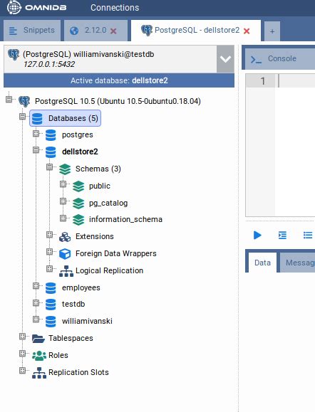 4 Managing Databases — Omnidb 2150 Documentation